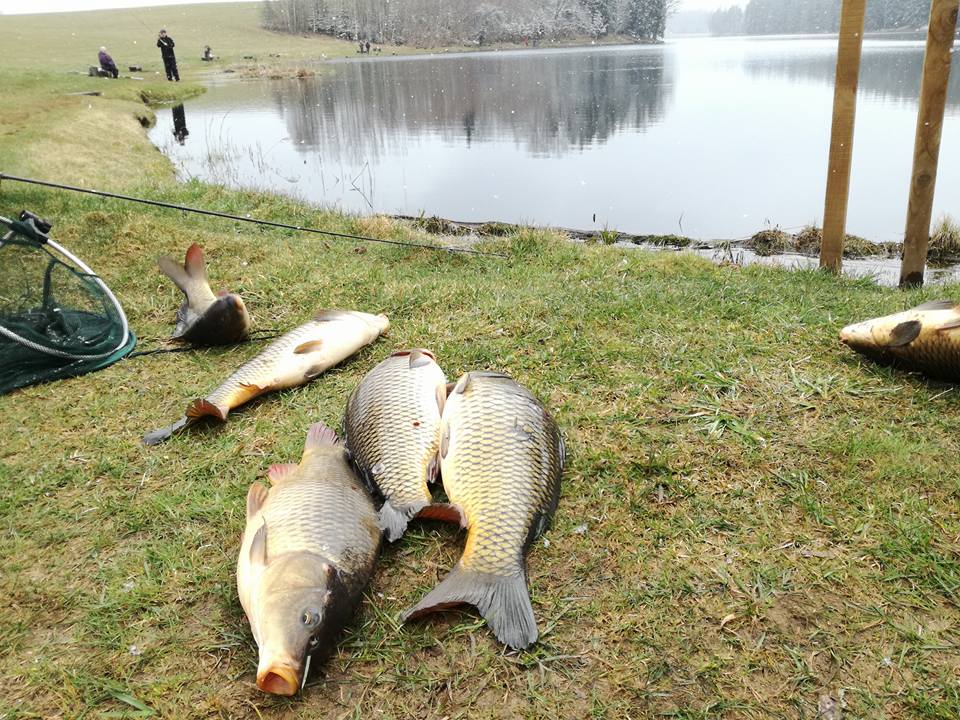 udensrozes - Jaunumi